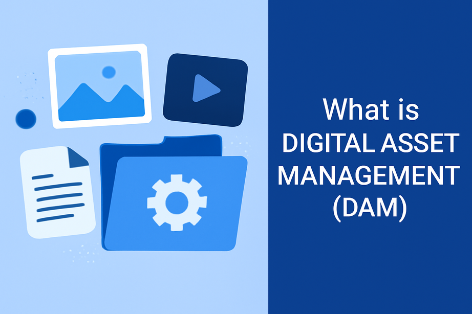 Top Digital Asset Management Software You Shouldn’t Miss in 2025 - Best Cardiac Hospitals