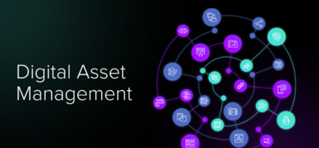Top Digital Asset Management Companies Driving Innovation - Best ...
